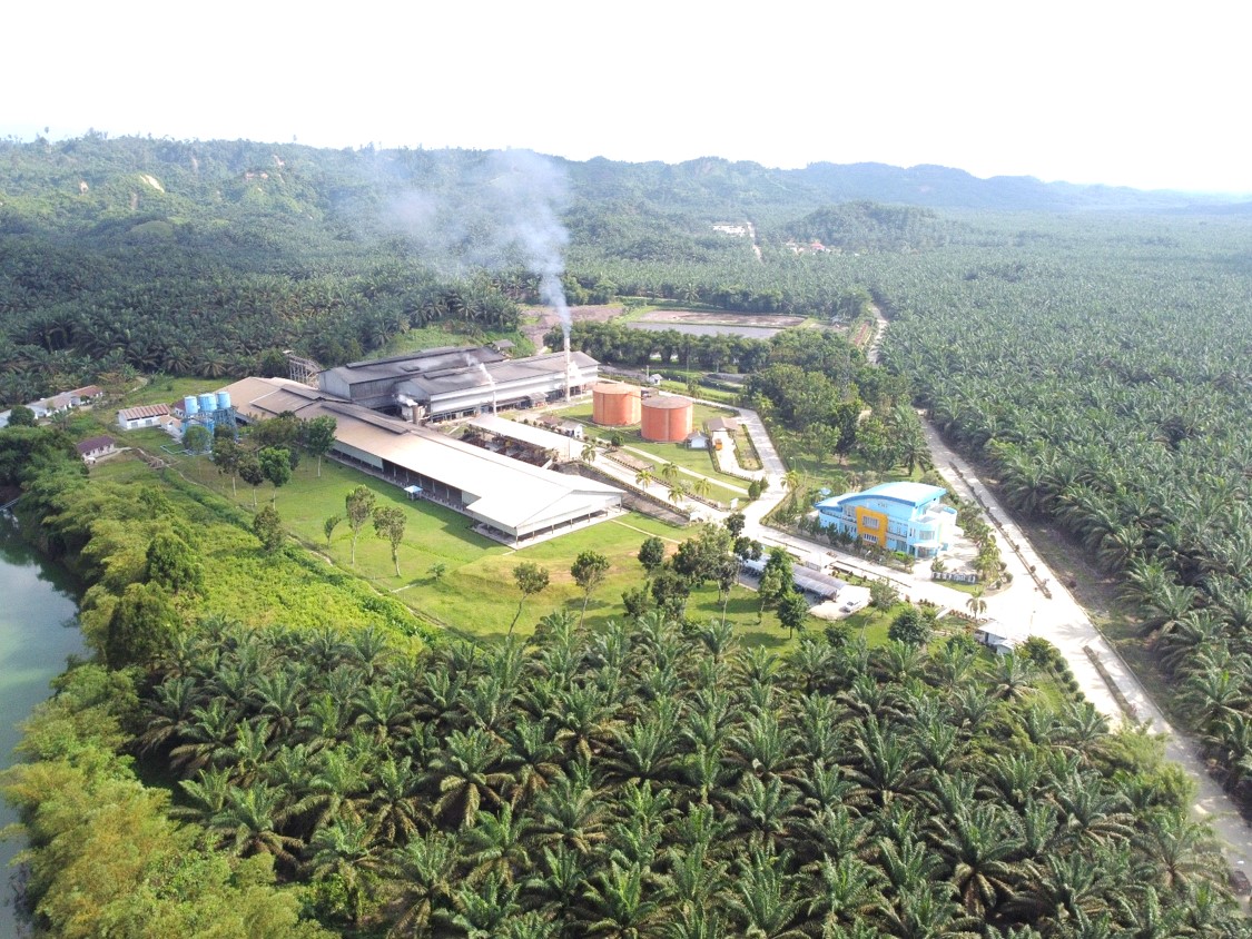 muliaintiperkasa.co.id – Certain & Sustain